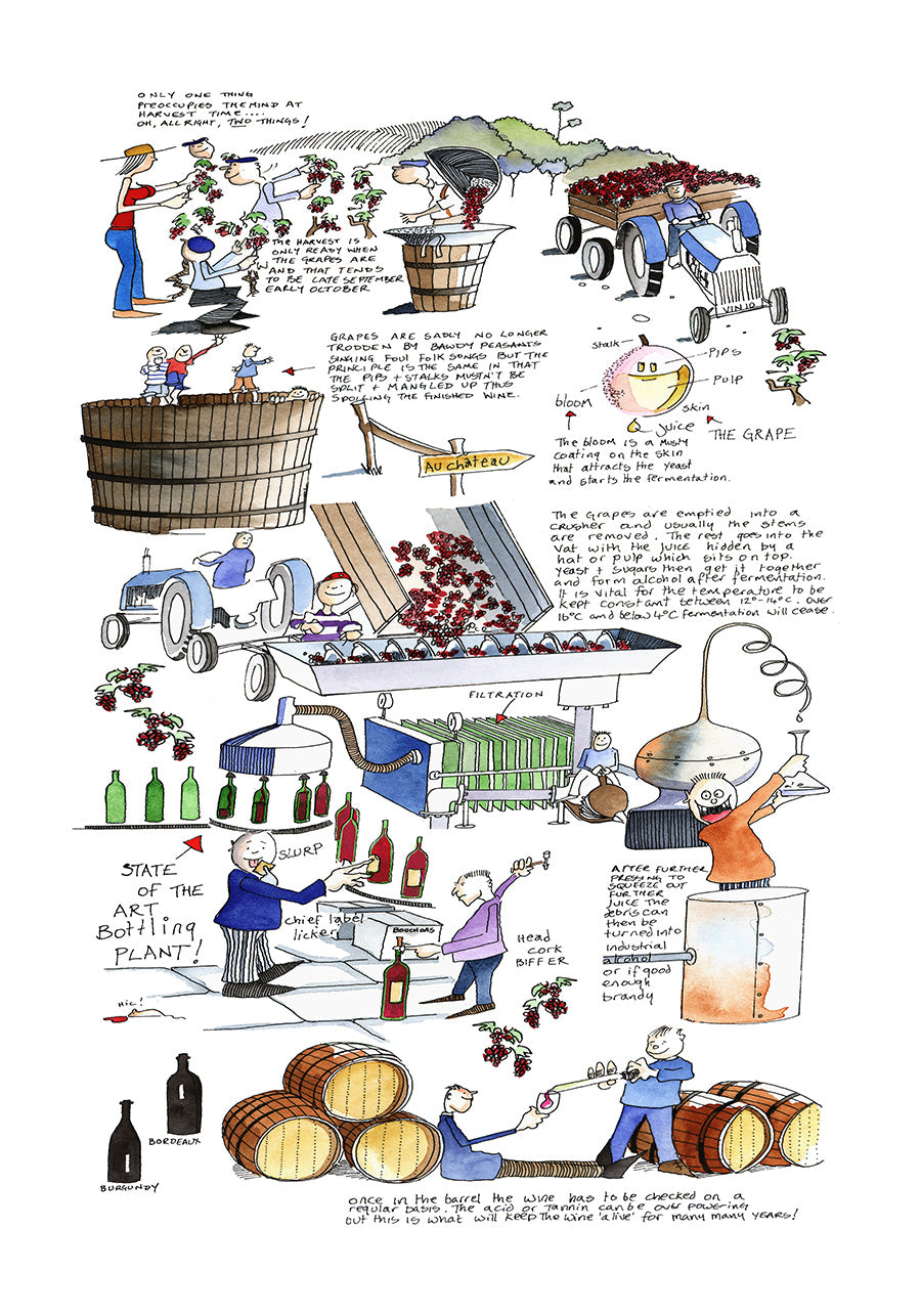 A First Class Vintage – Tim Bulmer | Humorous Cartoons for all ...